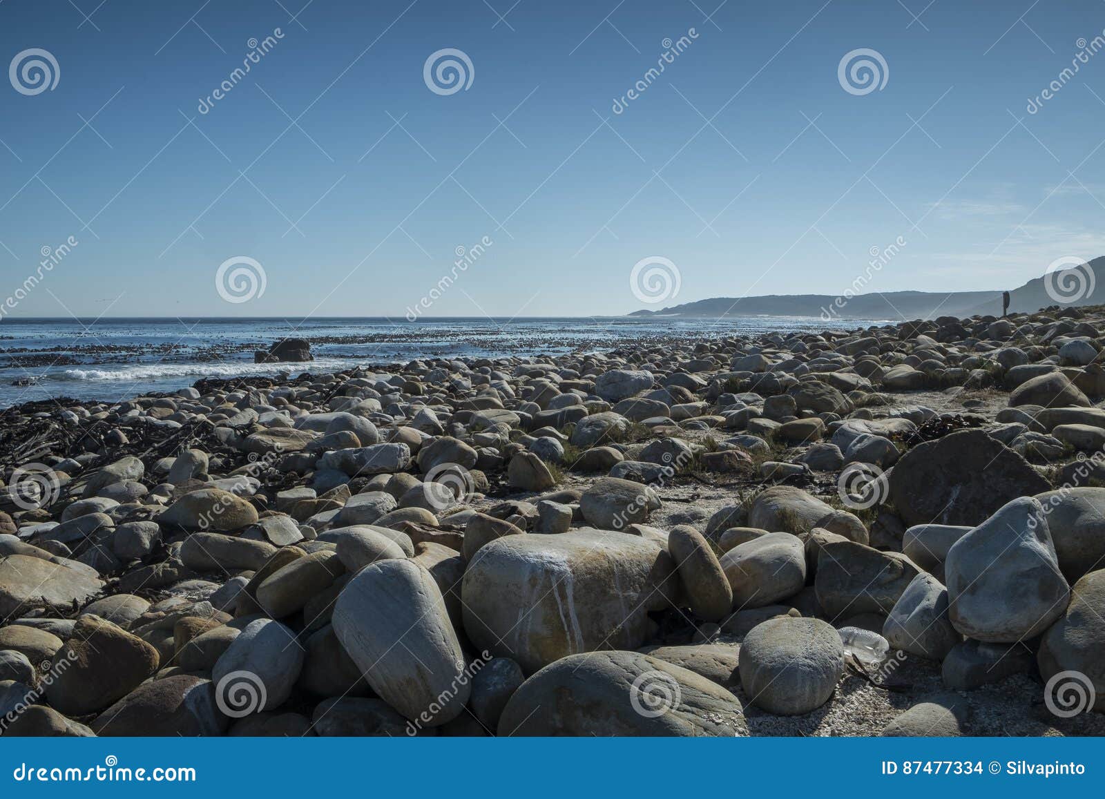 Felsiger Strand Beim Kap Der Guten Hoffnung Stockfoto - Bild von ...