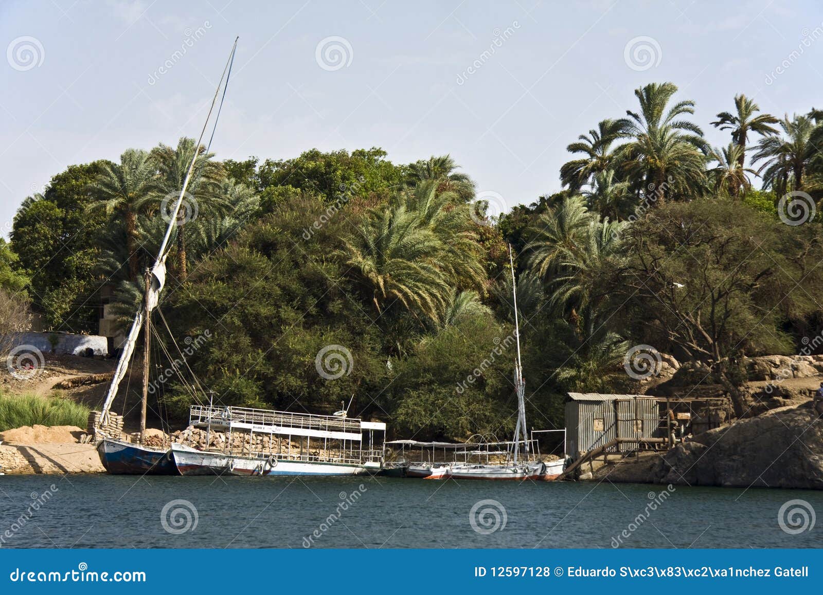 Felucca on the Nile stock photo. Image of sand, palm - 12597128