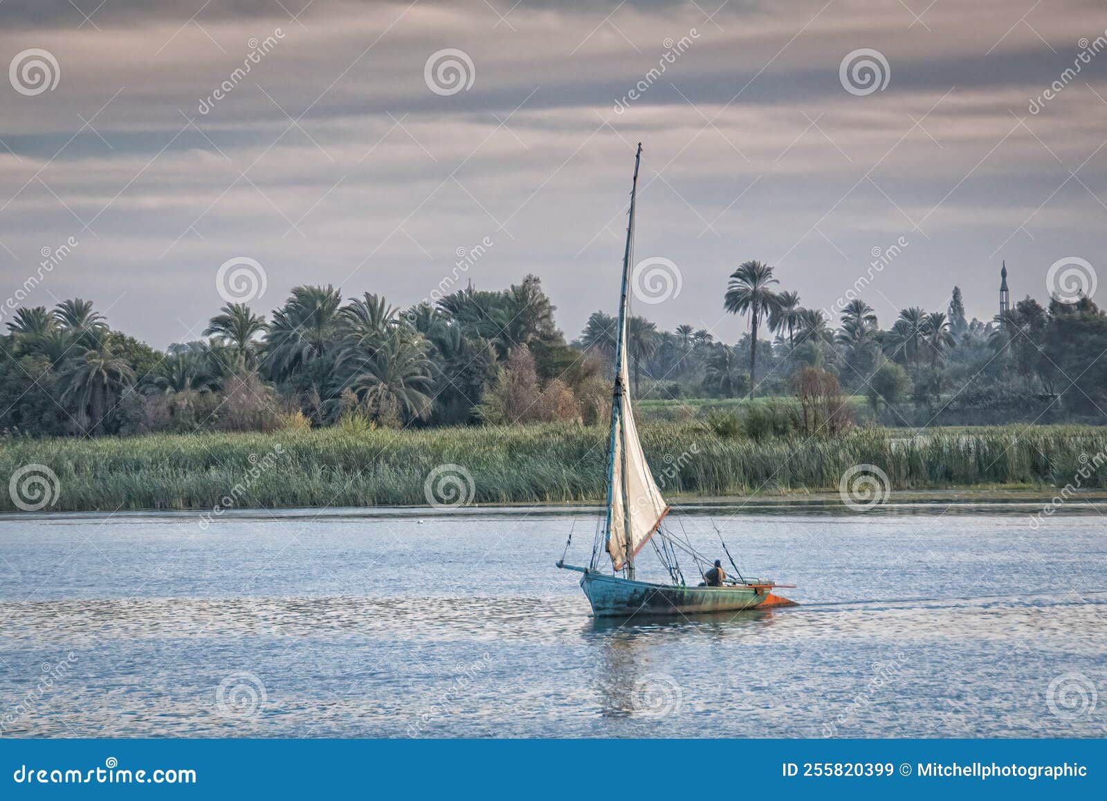 A Traditional Felucca Sailing on the Nile River Stock Image - Image of ...