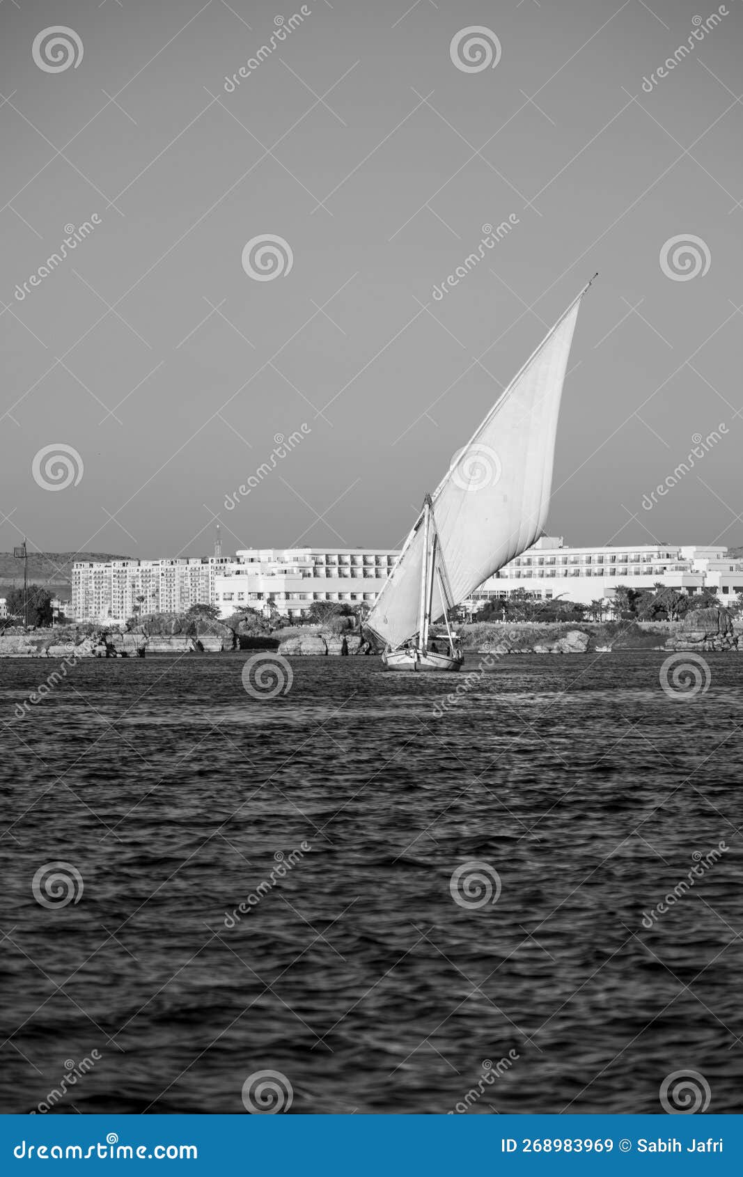 Felucca Sailboats on the Nile at Sunset in Black and White Stock Image ...