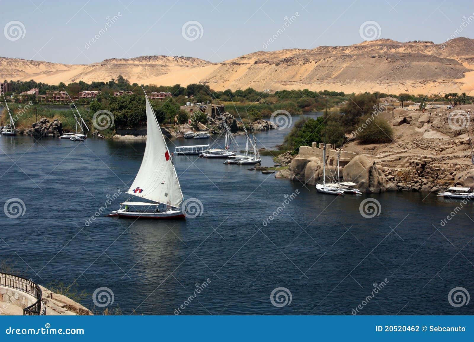 Felucca sailing the Nile stock photo. Image of traditional - 20520462