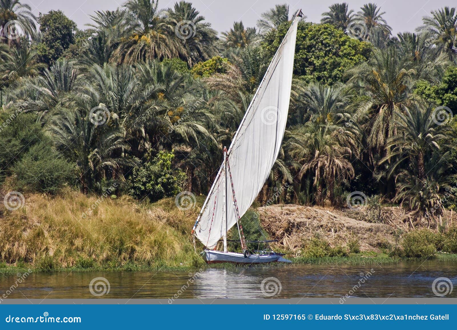 Felucca sul Nilo immagine stock. Immagine di africano - 12597165