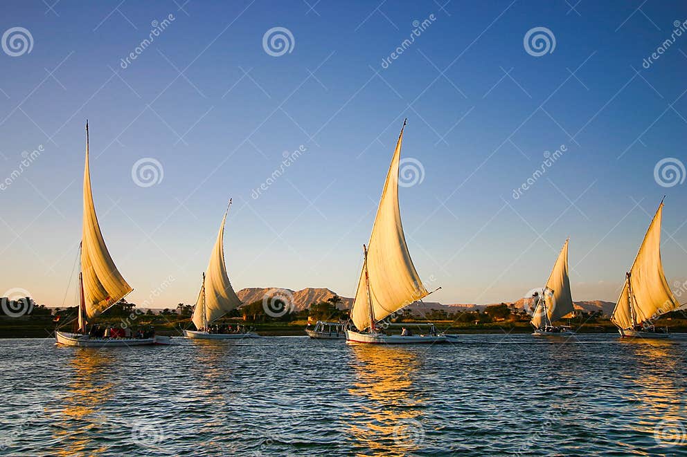 Feluccas stock photo. Image of egyptian, felouque, sailcloth - 10309734