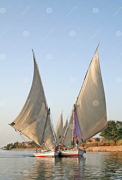 Feluccas stock photo. Image of peace, relax, beach, nature - 718102