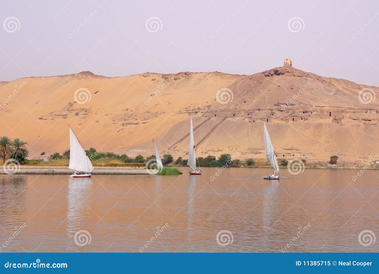 Feluccas on the Nile stock image. Image of feluccas, ships - 11385715