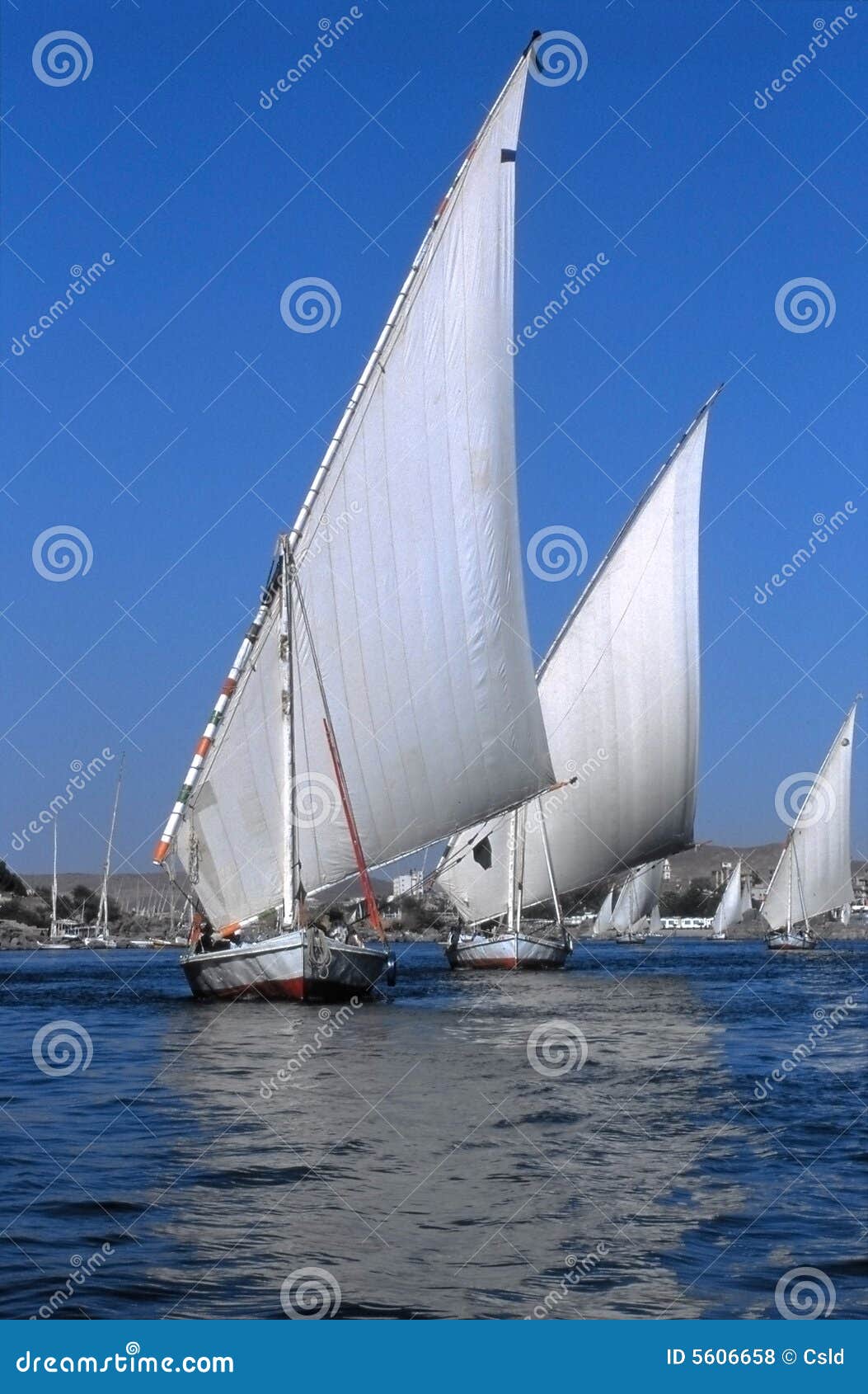 Feluccas sul Nilo fotografia stock. Immagine di nearsighted - 5606658