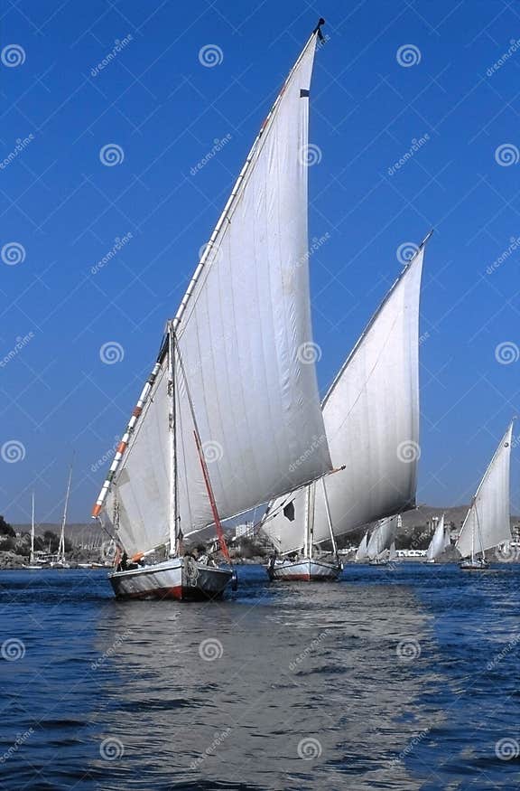 Feluccas sul Nilo fotografia stock. Immagine di nearsighted - 5606658