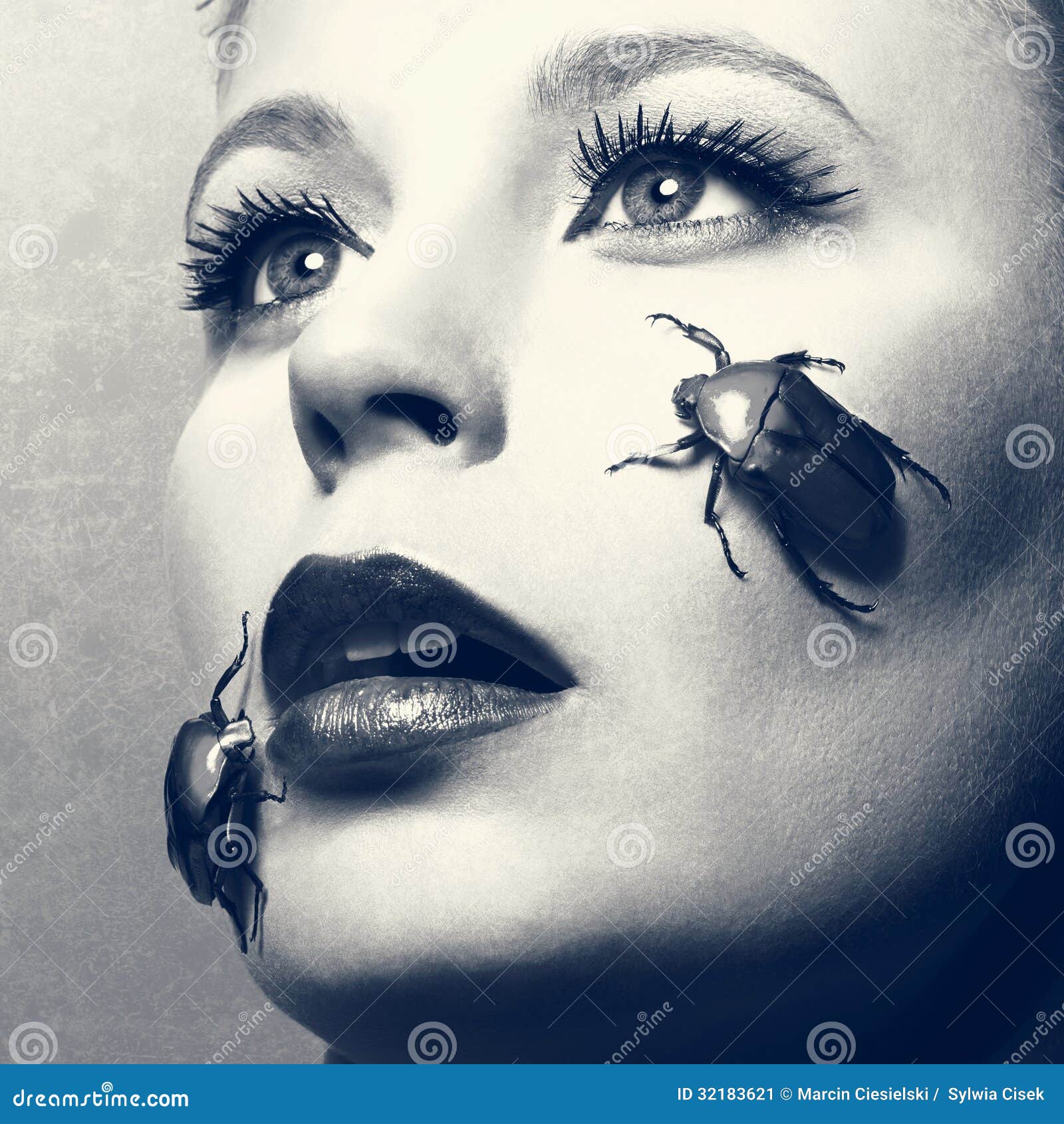 Femal face with bugs stock image. Image of woman, face - 32183621