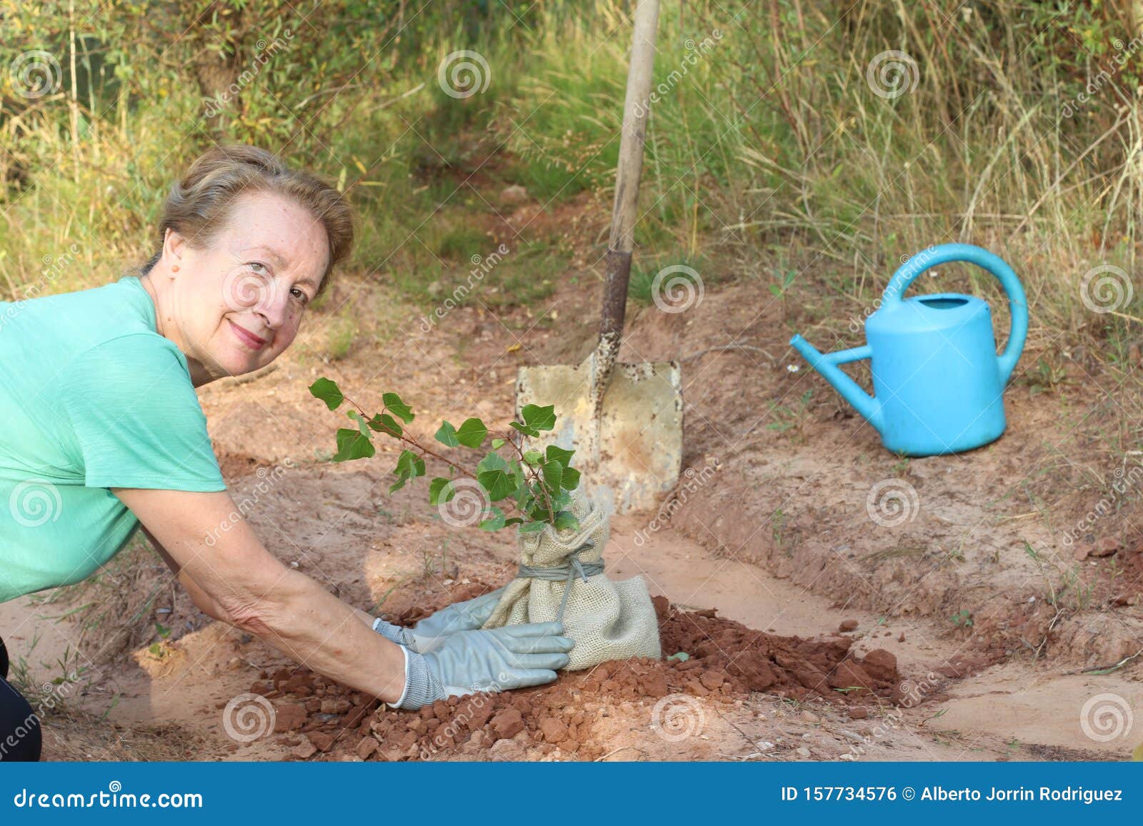 Female Activist Plating a Tree Stock Photo - Image of earth, hand ...