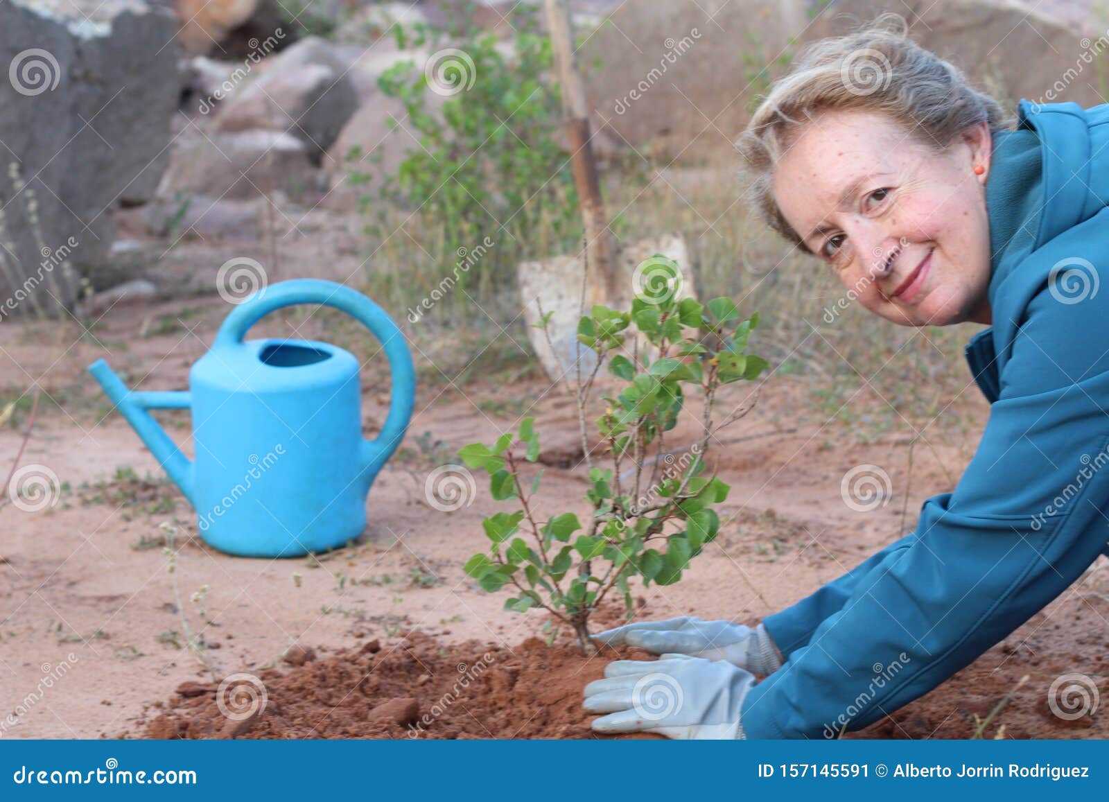 Female Activist Plating a Tree Stock Image - Image of cultivated, field ...