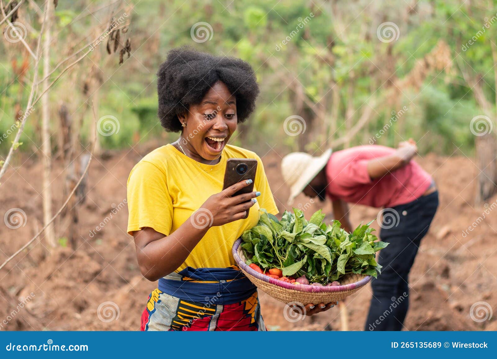 Female African Farmer Checking Her Phone Stock Image - Image of ...