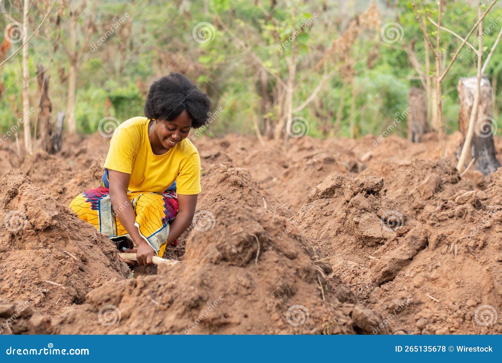 African Farmer Working on a Farm Stock Photo - Image of countryside ...