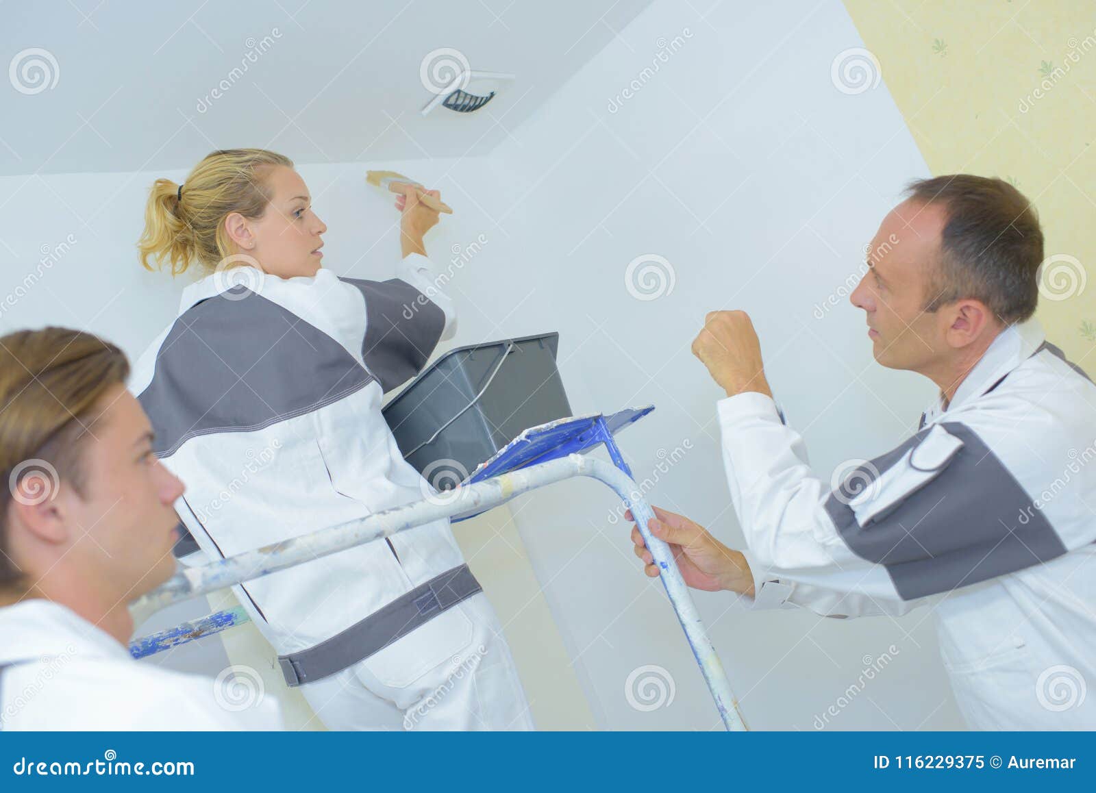 Female Apprentice Painter at Work Stock Image - Image of ladder ...