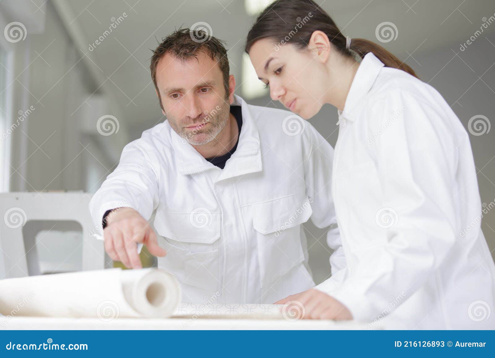 Female Apprentice Training To Use Wallpaper Stock Image - Image of ...
