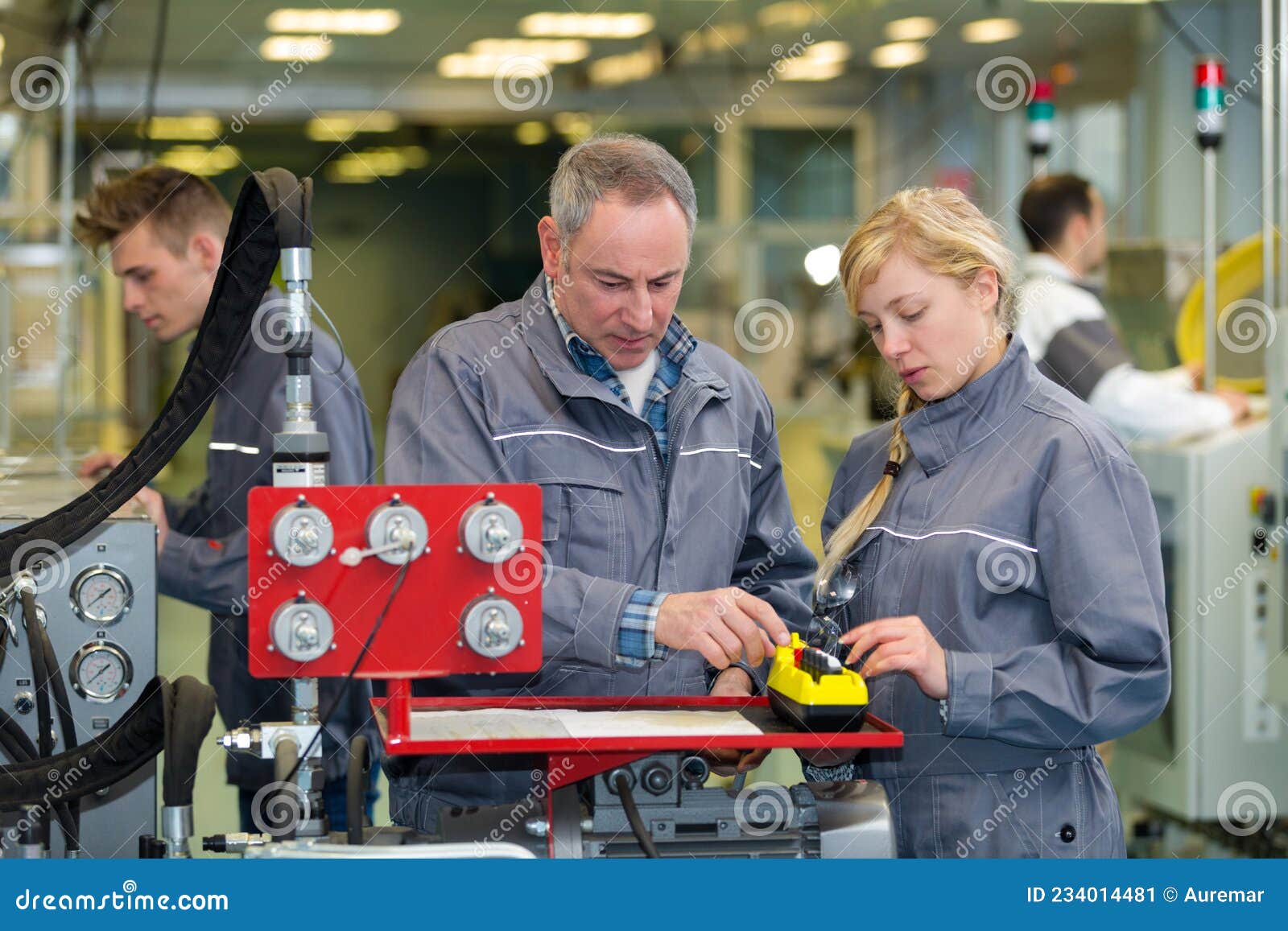 Female Apprentice and Worker Using Machine in Factory Stock Image ...