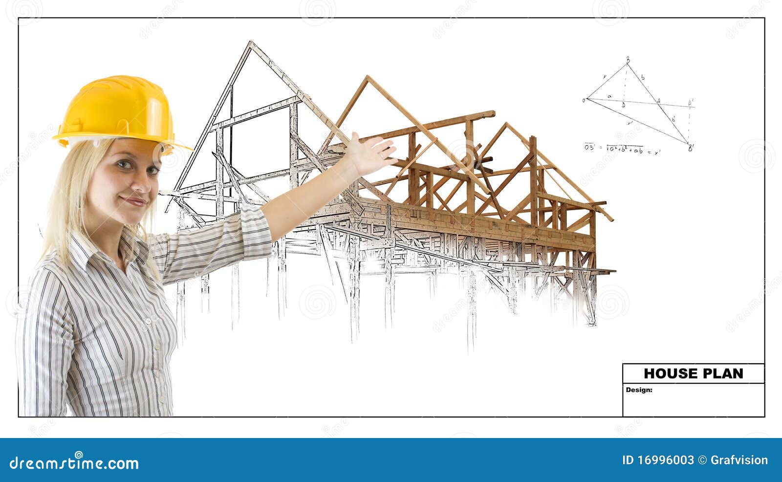 Female architect stock image. Image of architect, house - 16996003