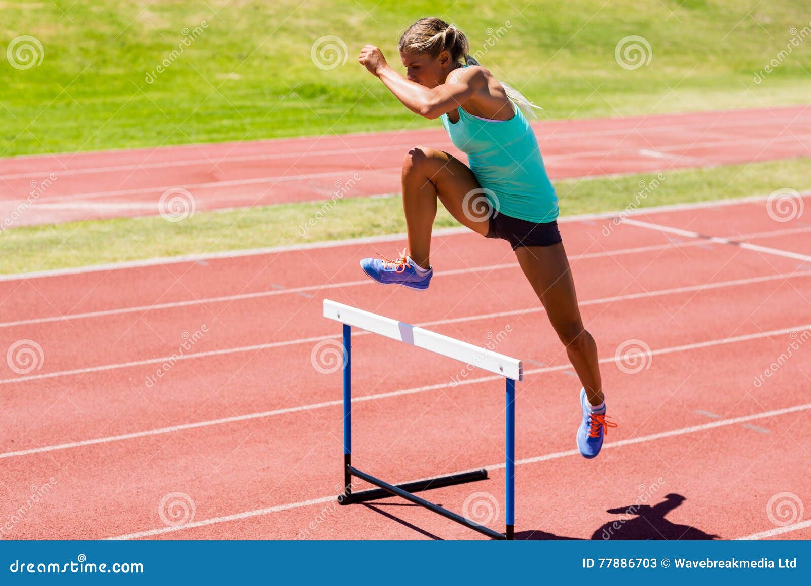 Female Athlete Jumping Above the Hurdle Stock Image - Image of athlete ...