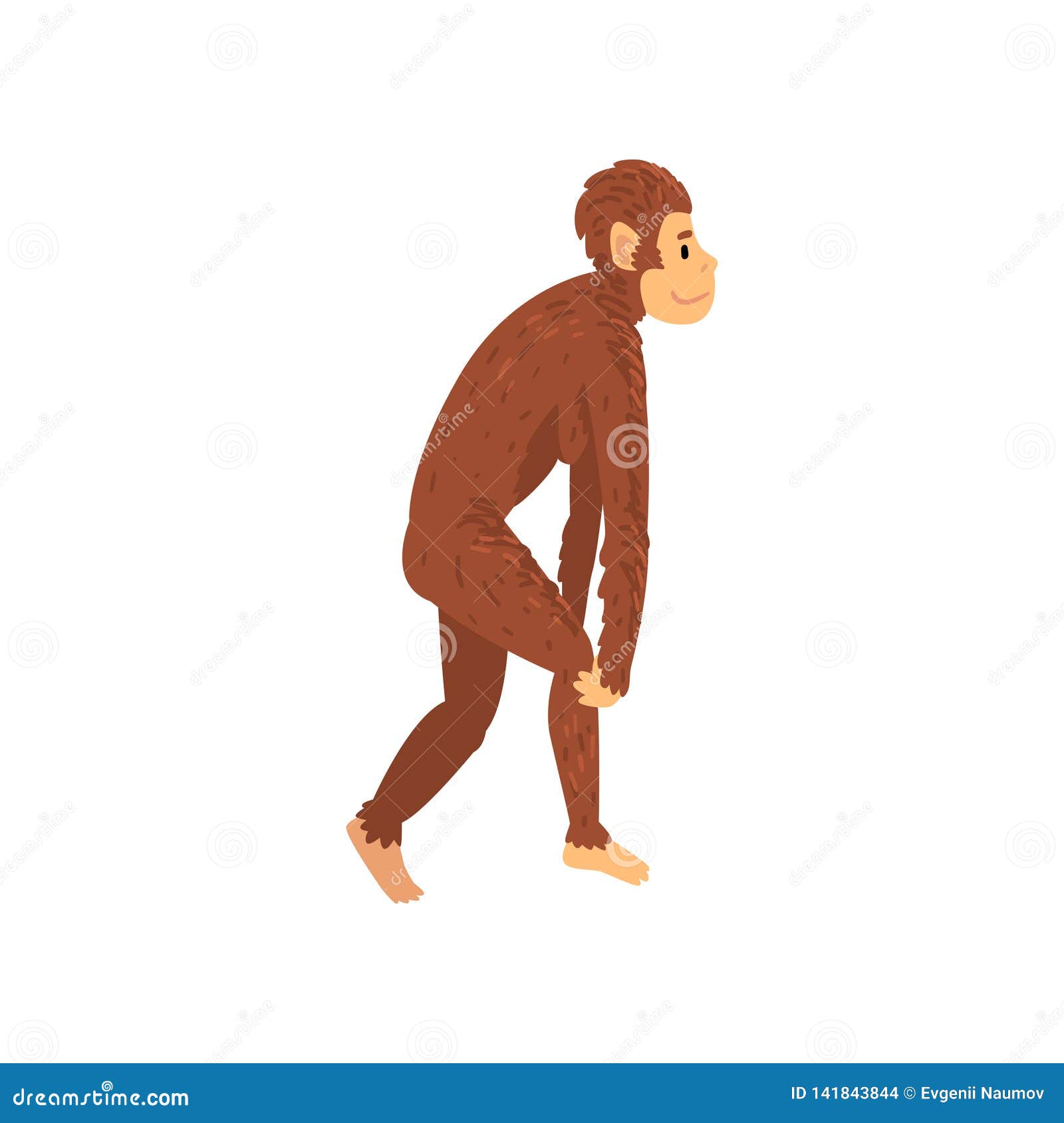 Australopithecus, Biology Human Evolution Stage, Evolutionary Process ...