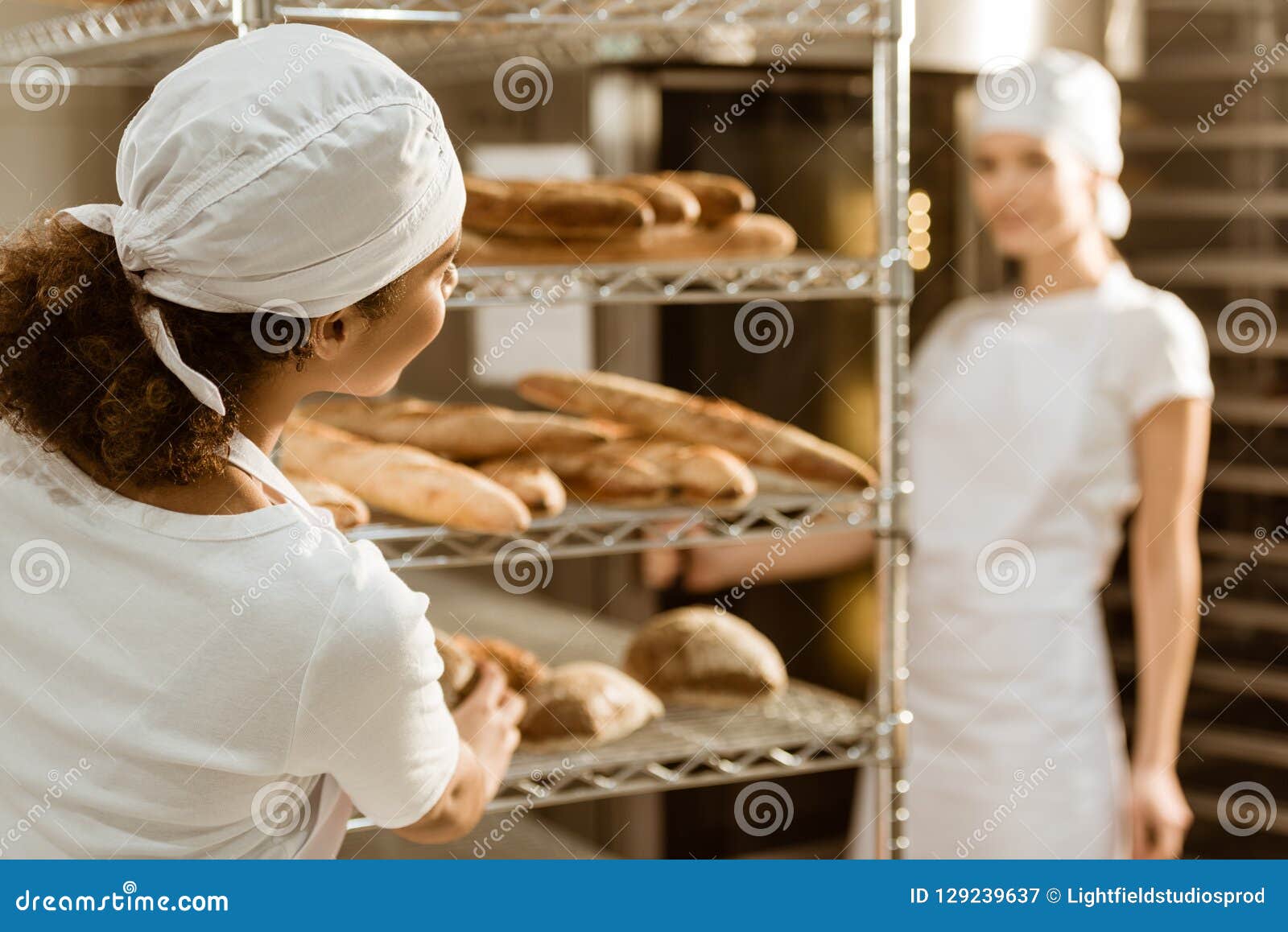 Female Bakers Working Together at Baking Manufacture Stock Image ...
