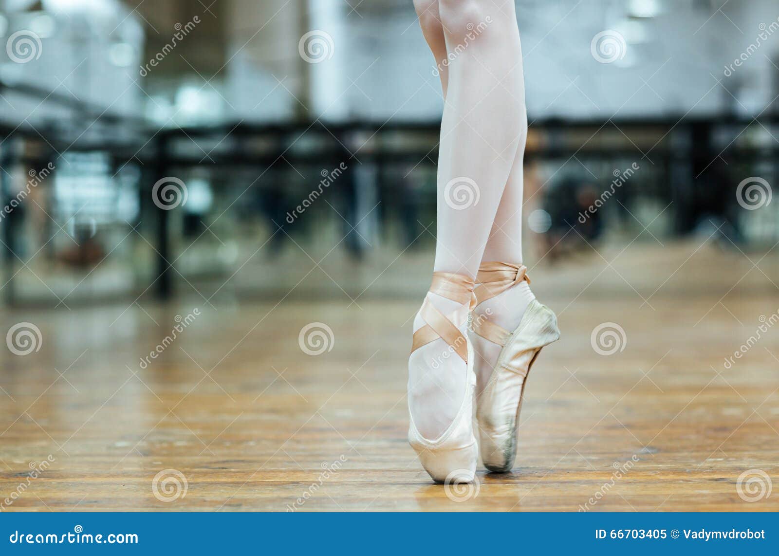 Female Ballet Dancer Standing on Toes Stock Image - Image of dancer ...