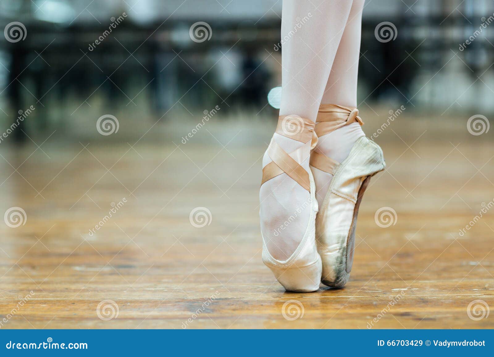 Female Ballet Dancer Standing on Toes Stock Image - Image of slipper ...