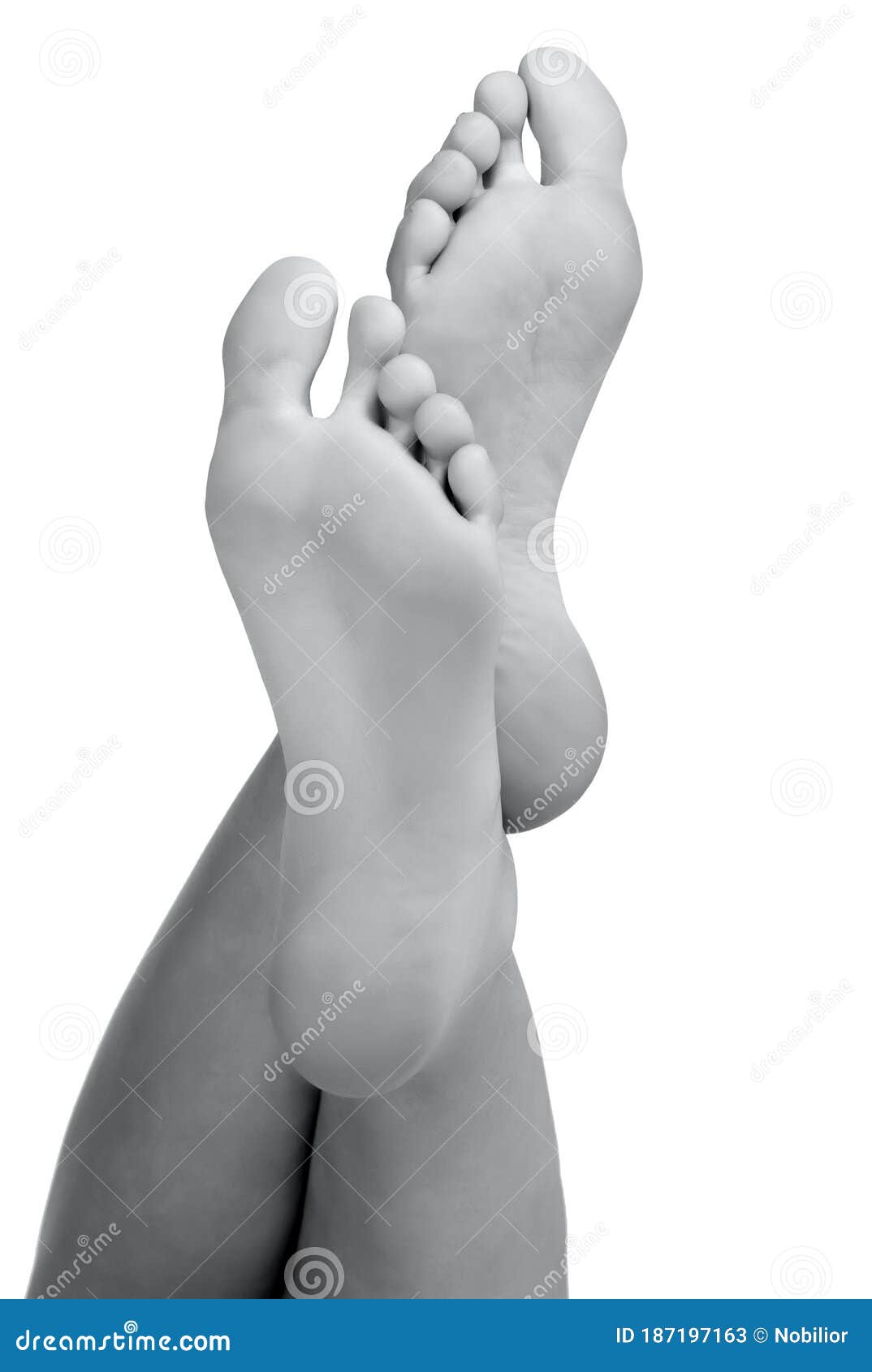 Female bare feet stock image. Image of body, foot, beauty - 187197163 Female bare feet stock image. Image of body, foot, beauty - 187197163