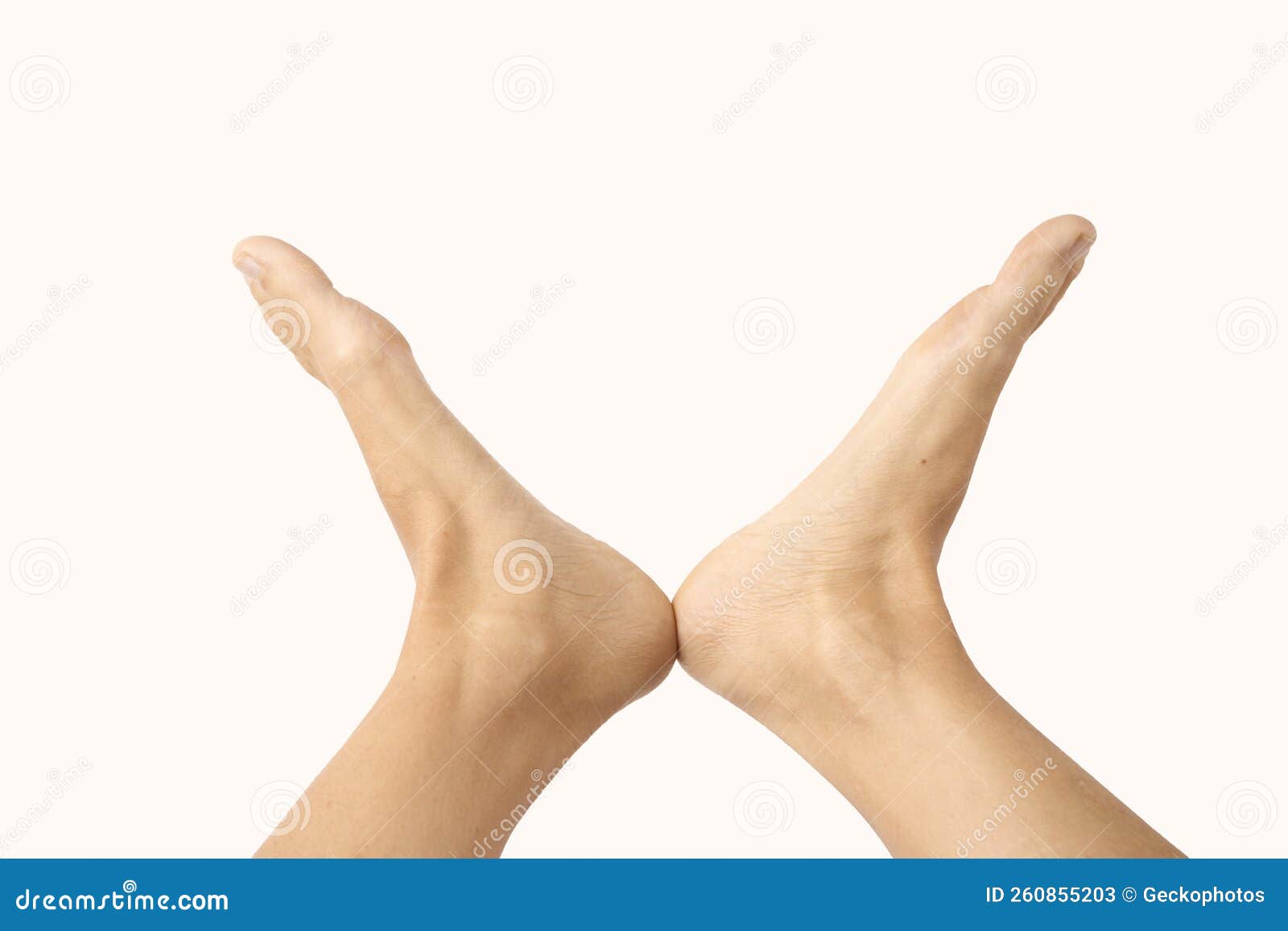 Female Bare Feet on White Background Stock Image - Image of person ... Female Bare Feet on White Background Stock Image - Image of person ...