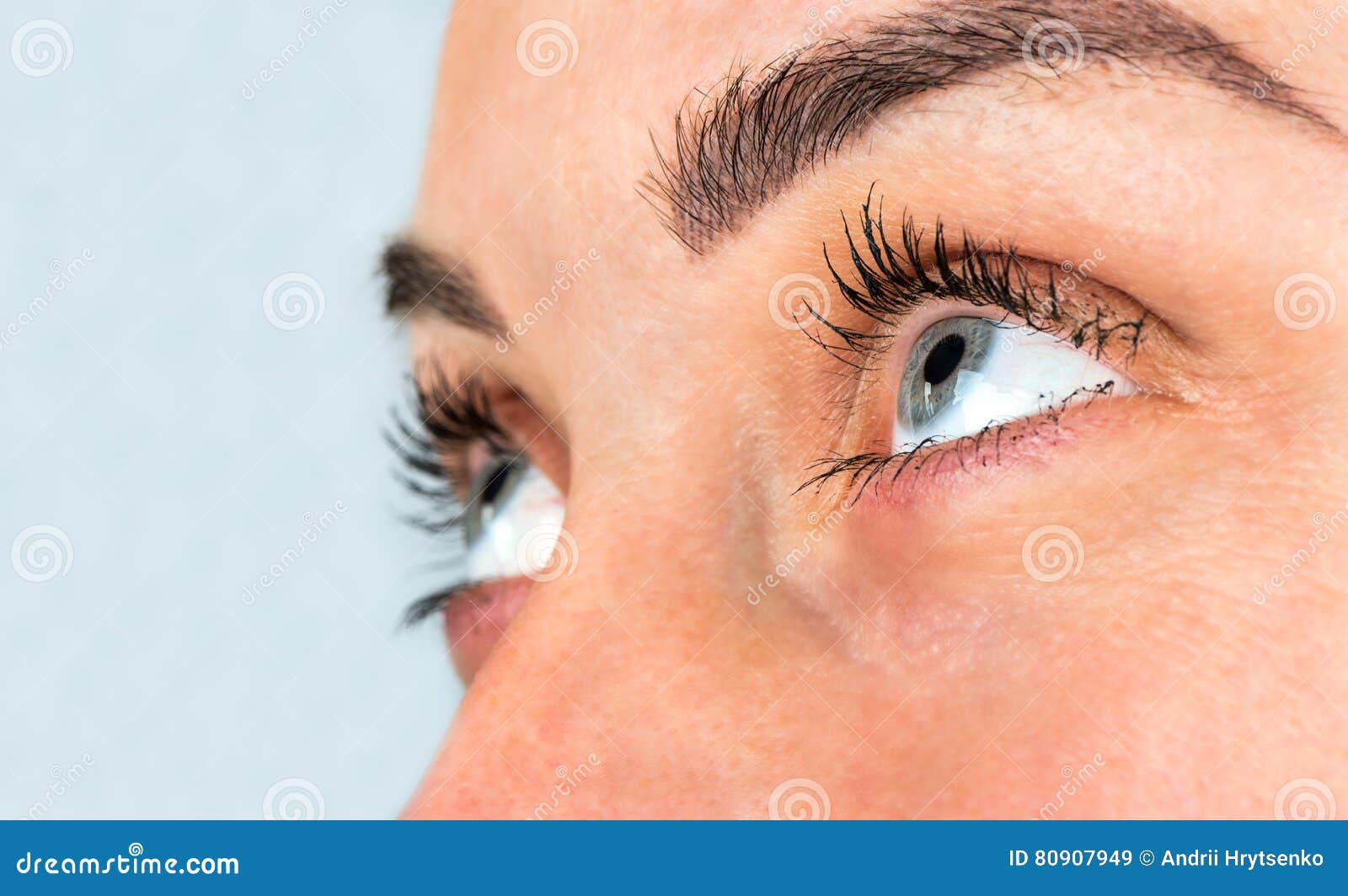 Female beautiful eyes stock image. Image of natural, color - 80907949