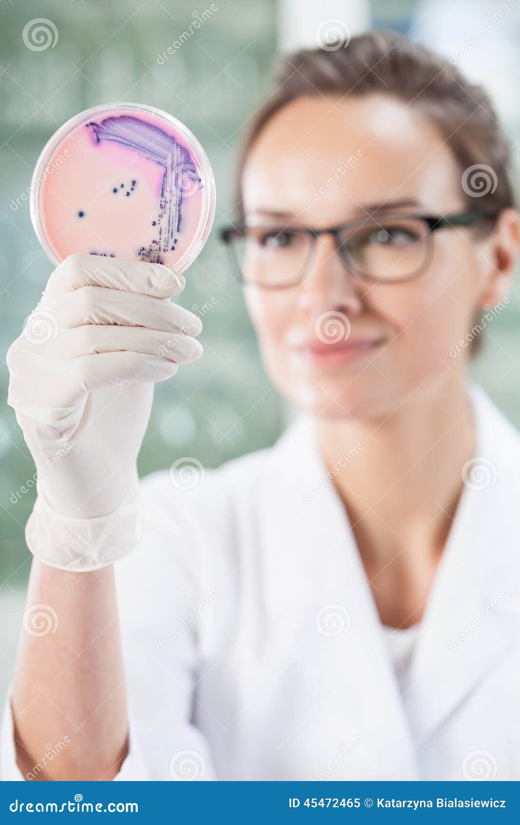 Female Biologist Working at Laboratory Stock Image - Image of hold ...