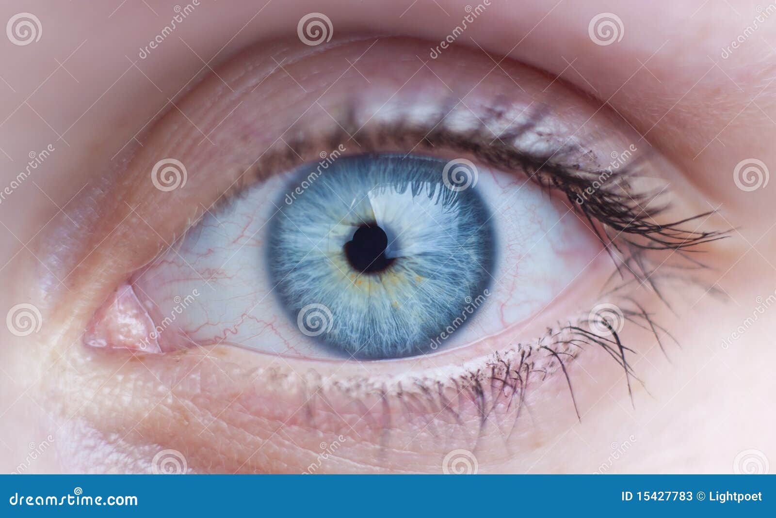 Female blue eye stock image. Image of fashion, girl, female - 15427783