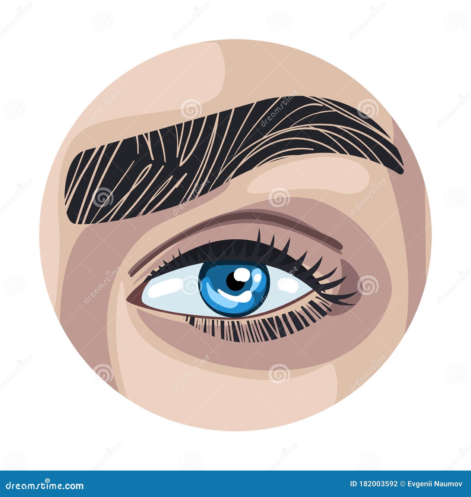 Female Blue Eye in the Circle, Human Face Part Vector Illustration ...