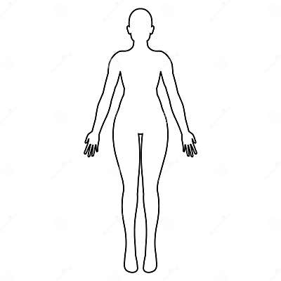 Female Body Shape Outlined Silhouette. Vector. Stock Vector ...