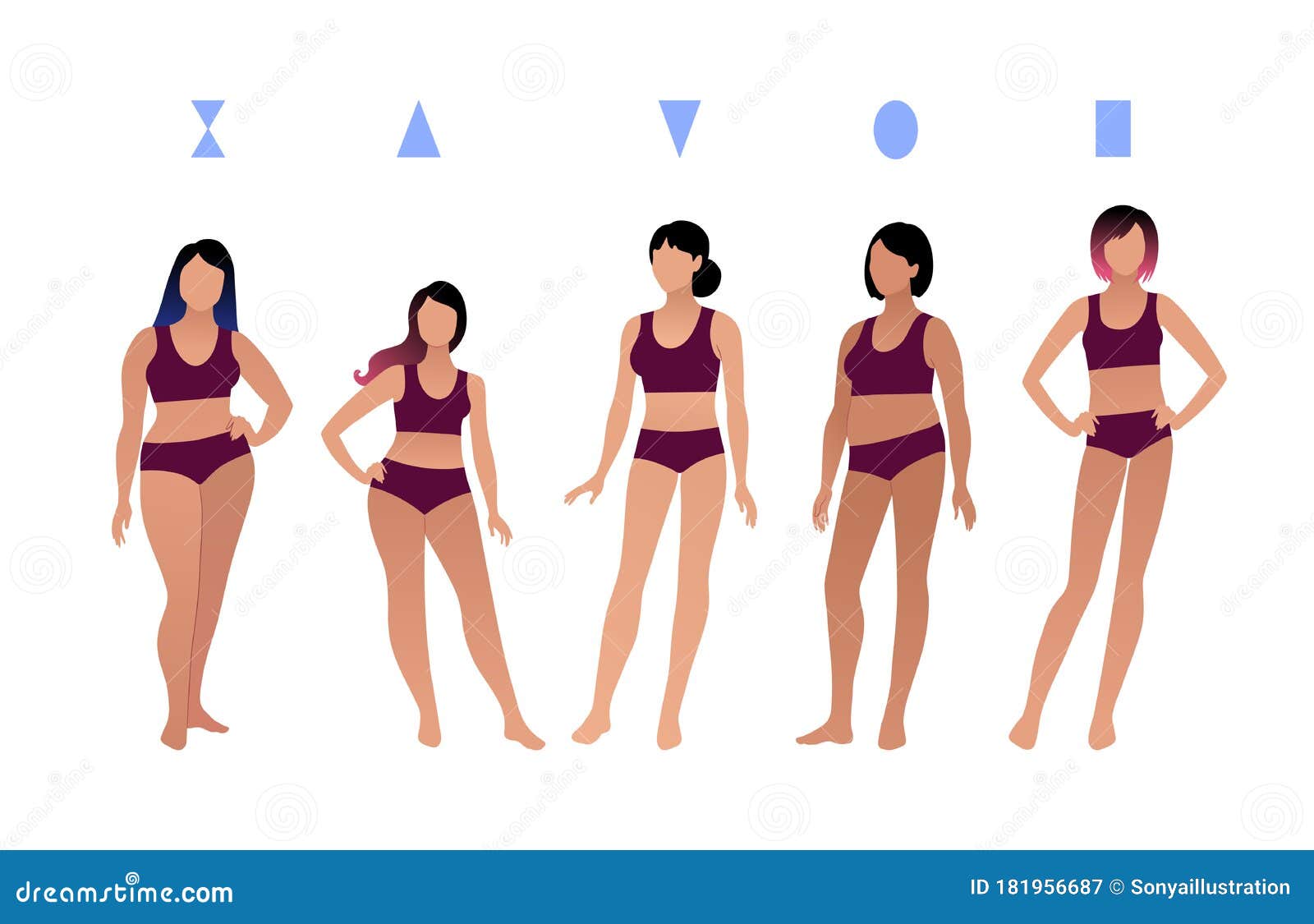 Female Body Types Characters Stock Vector Illustration Of Beauty