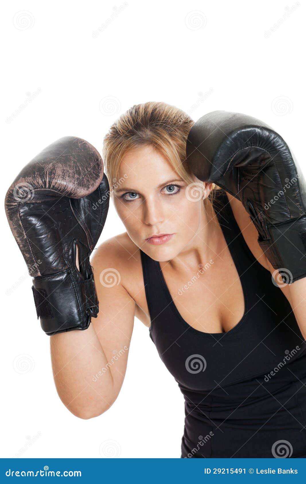 Boxer Ducking Photos - Free & Royalty-Free Stock Photos from Dreamstime