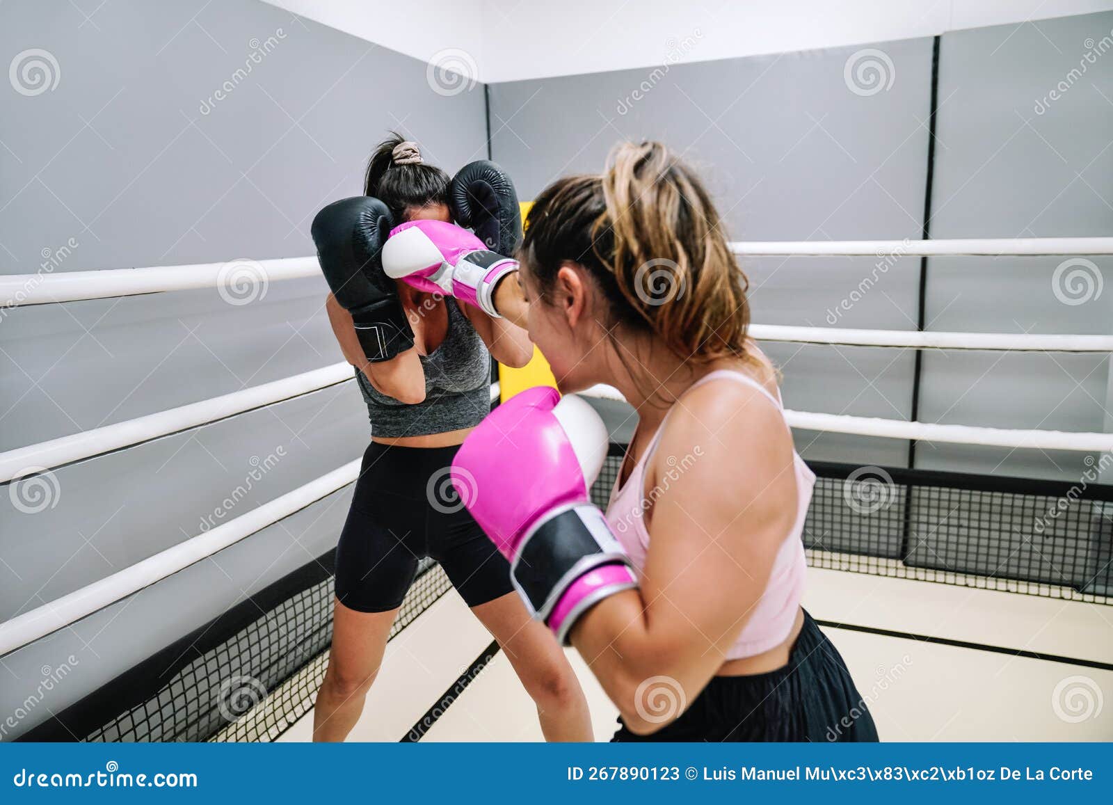 Female Boxer Punching Her Opponent in the Face during a Practice in the ...
