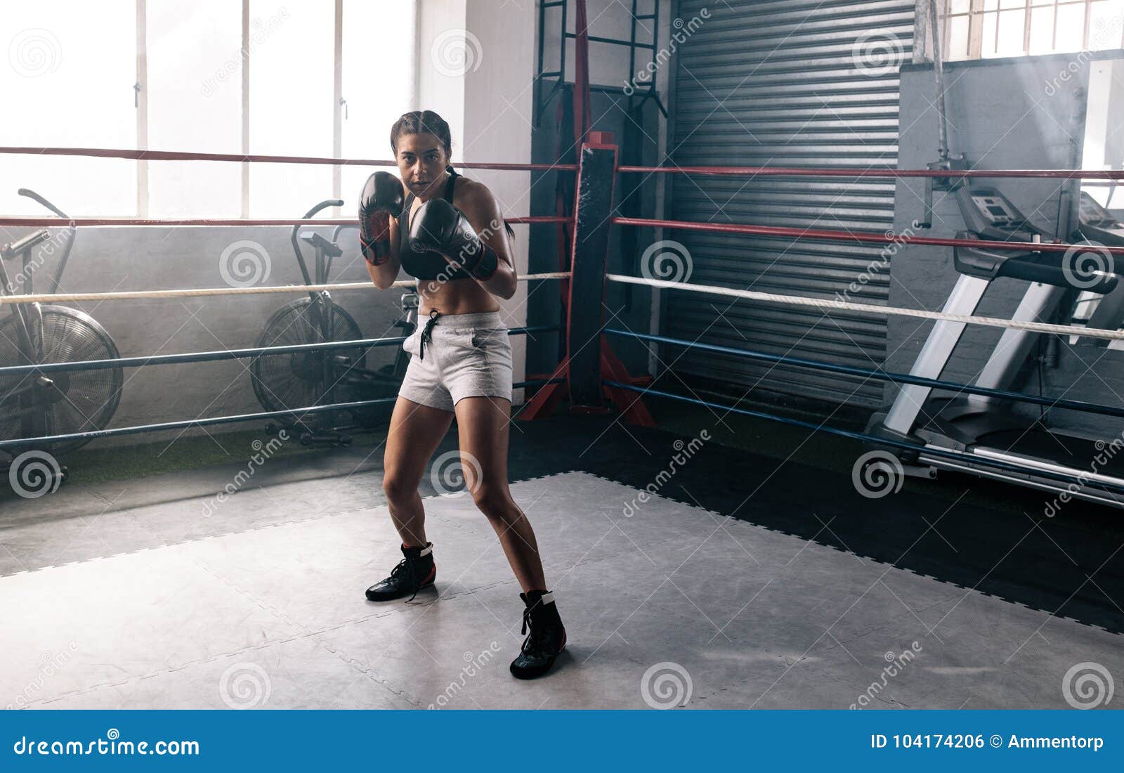 Female Boxer Training Inside a Boxing Ring Stock Photo - Image of ...