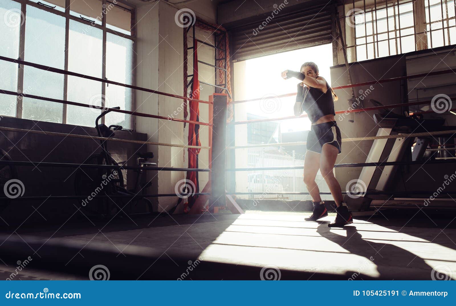 Female Boxer Training Inside a Boxing Ring Stock Image - Image of ...