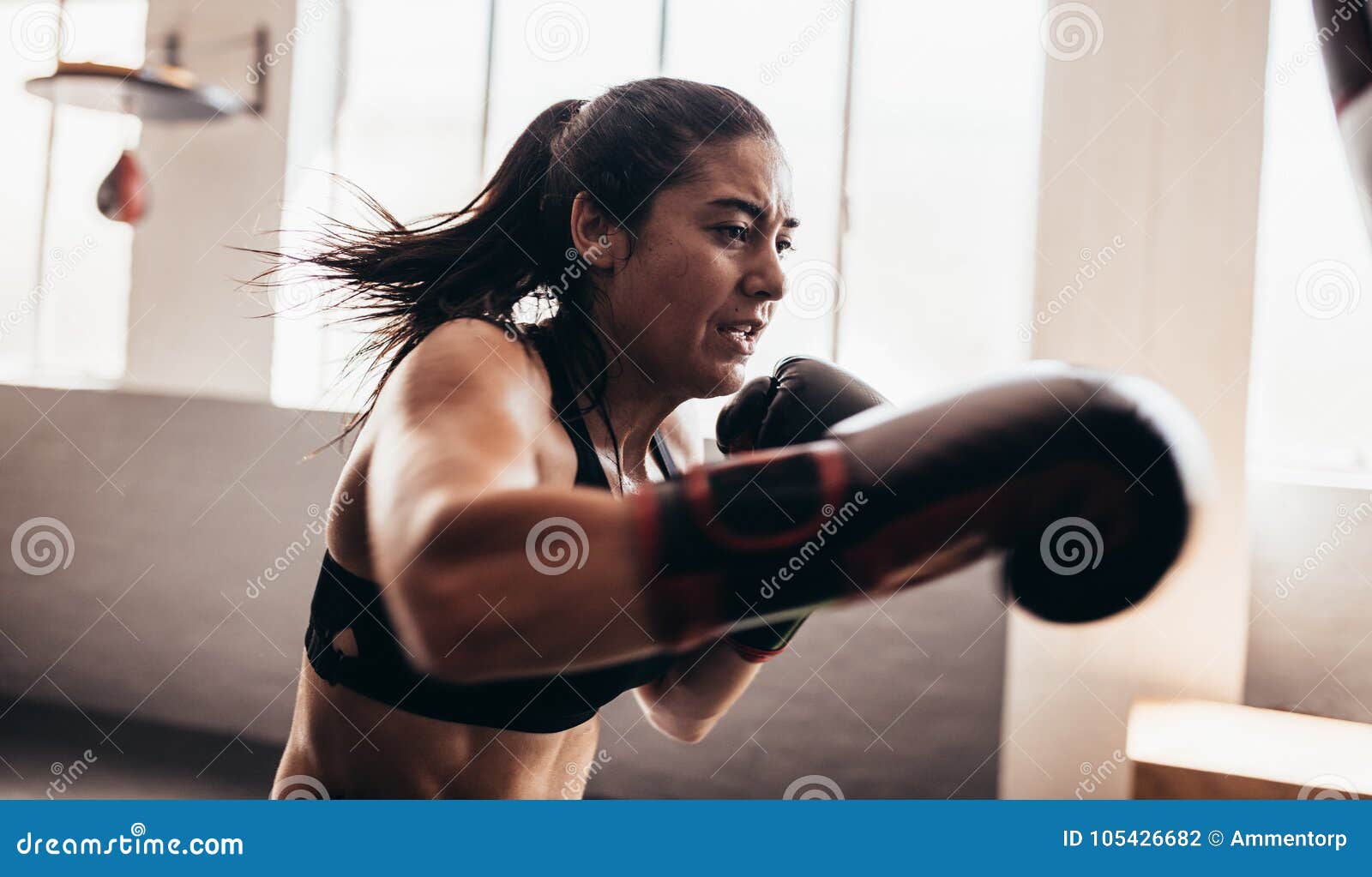 Female Boxer Training Inside a Boxing Ring Stock Photo - Image of ...
