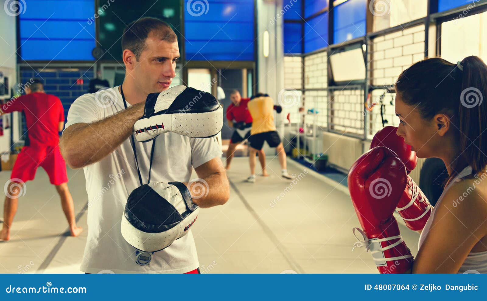 Female Boxer at Training stock photo. Image of body, combative - 48007064