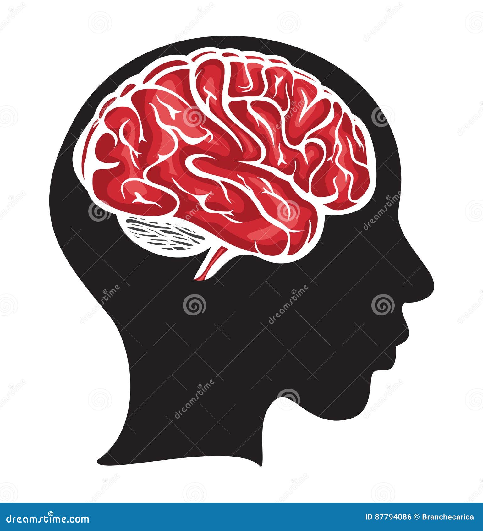 Female brain stock vector. Illustration of person, girl - 87794086