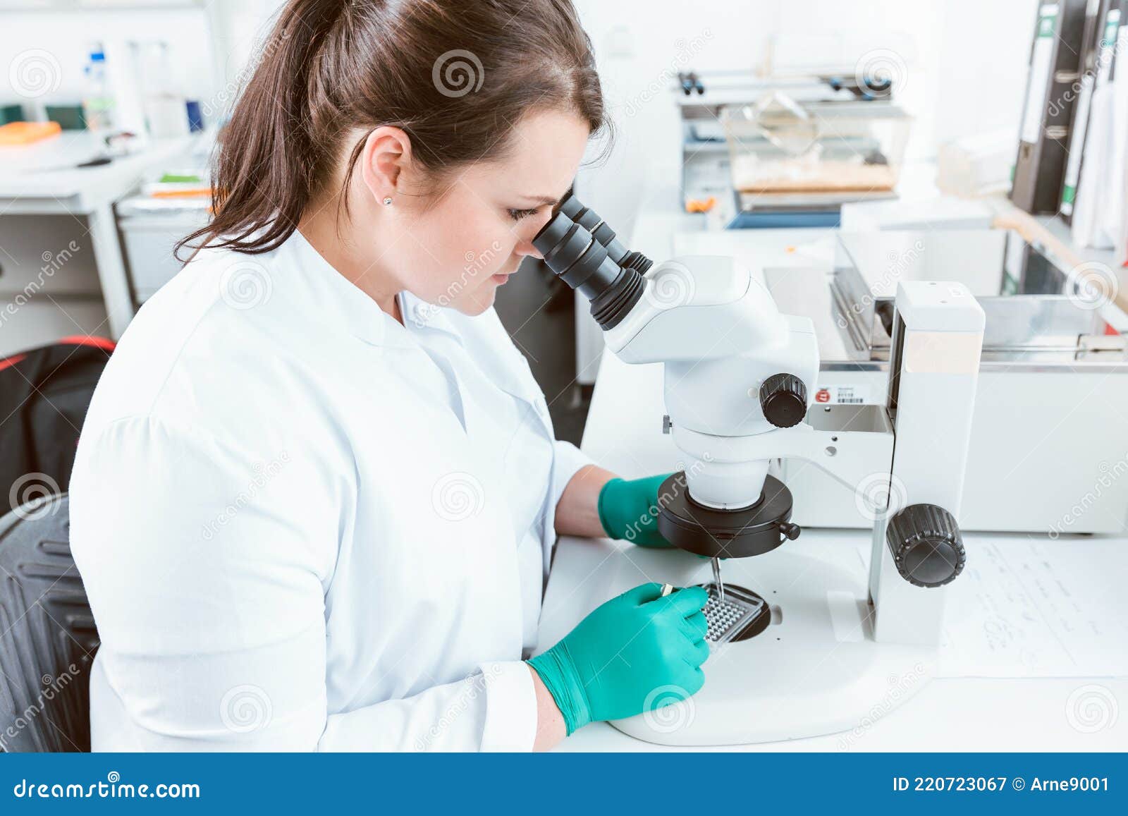 Woman Researcher Using Microscope in Lab Stock Image - Image of ...