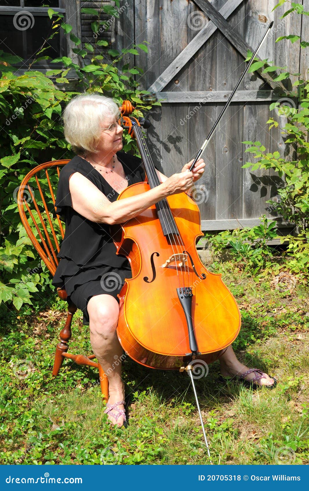 Female cellist. stock photo. Image of female, instrument - 20705318