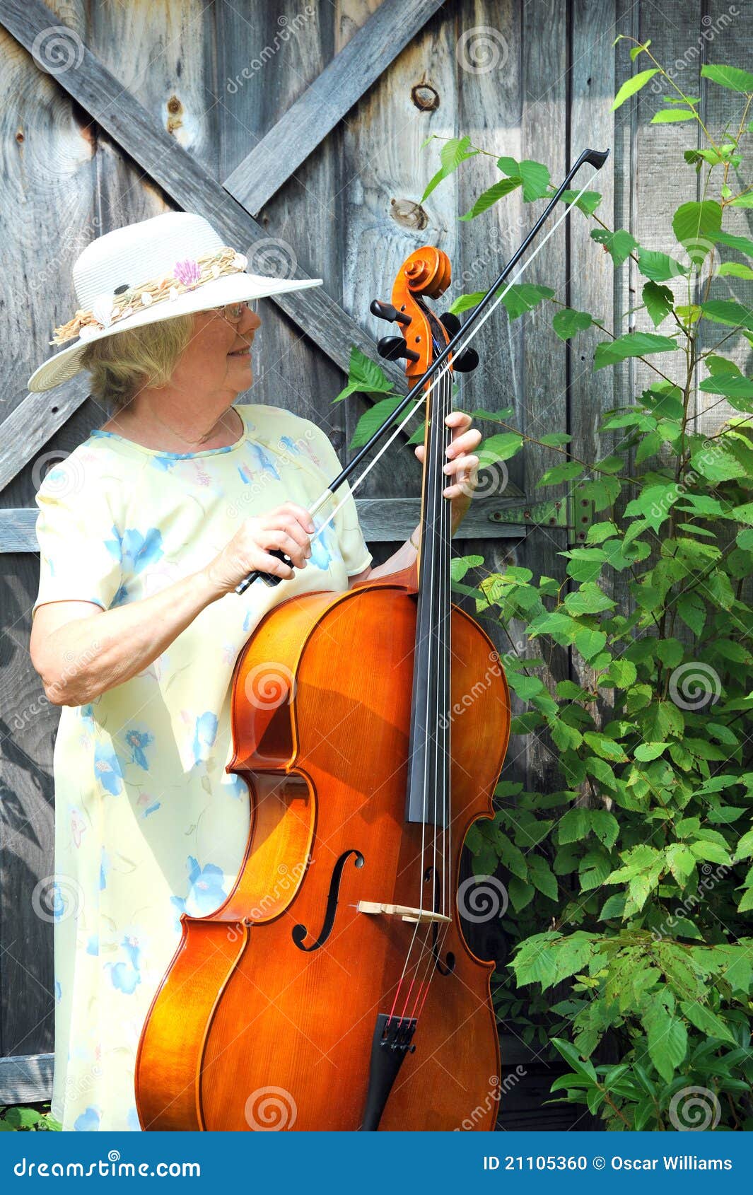 Female cellist. stock photo. Image of cellist, woman - 21105360