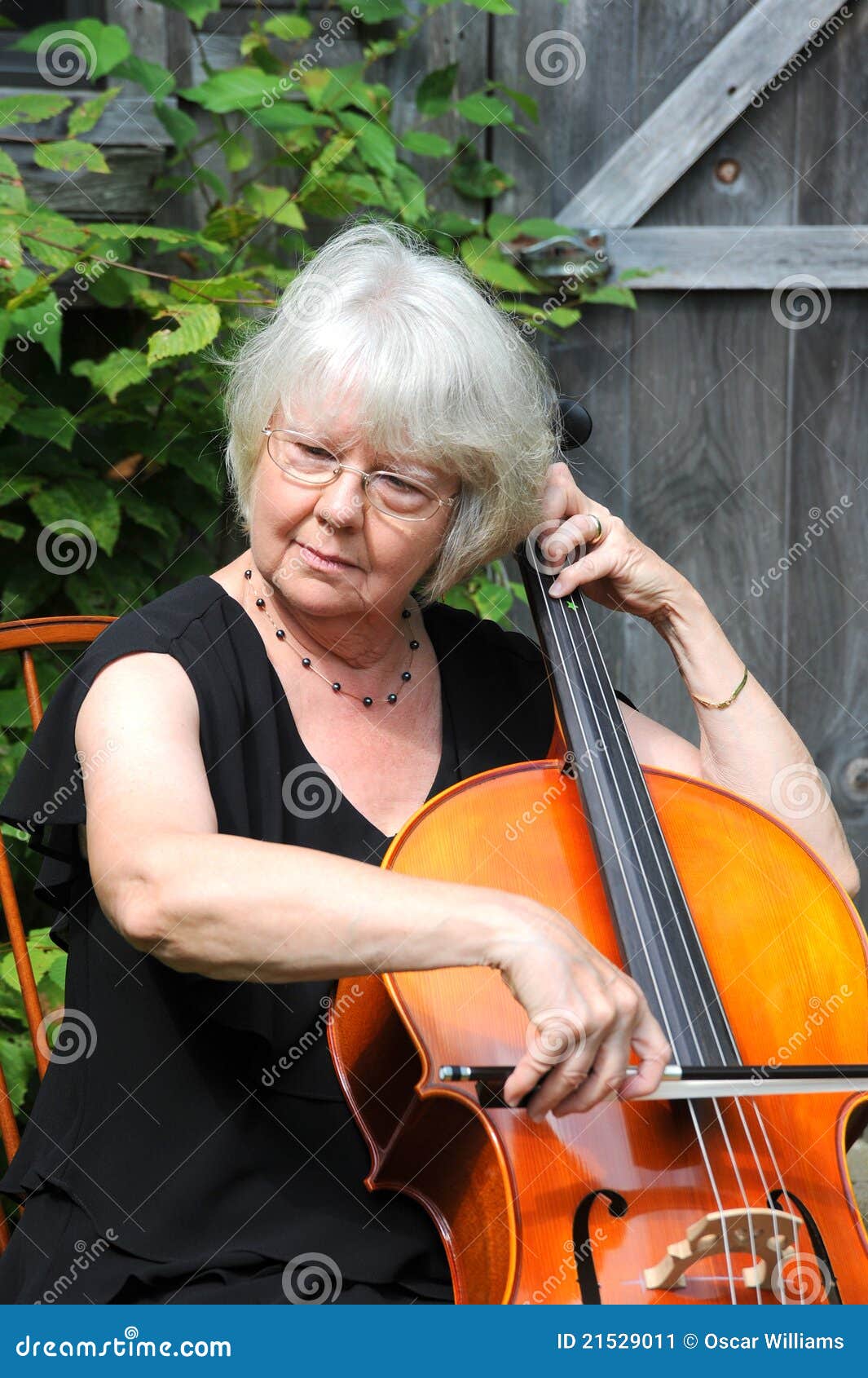Female cellist stock image. Image of adult, instrumant - 21529011