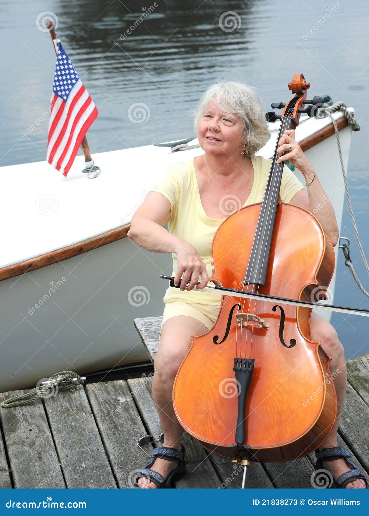 Female cellist. stock image. Image of musician, wooden - 21838273