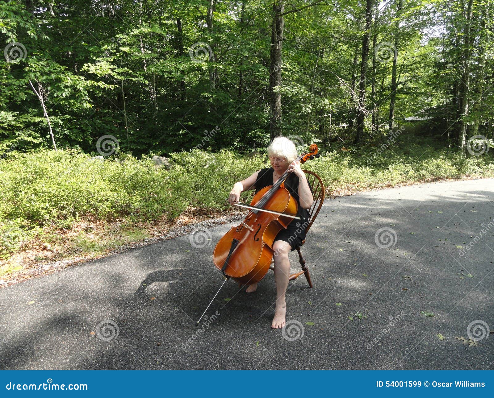 Female cellist. stock image. Image of woman, adult, solo - 54001599
