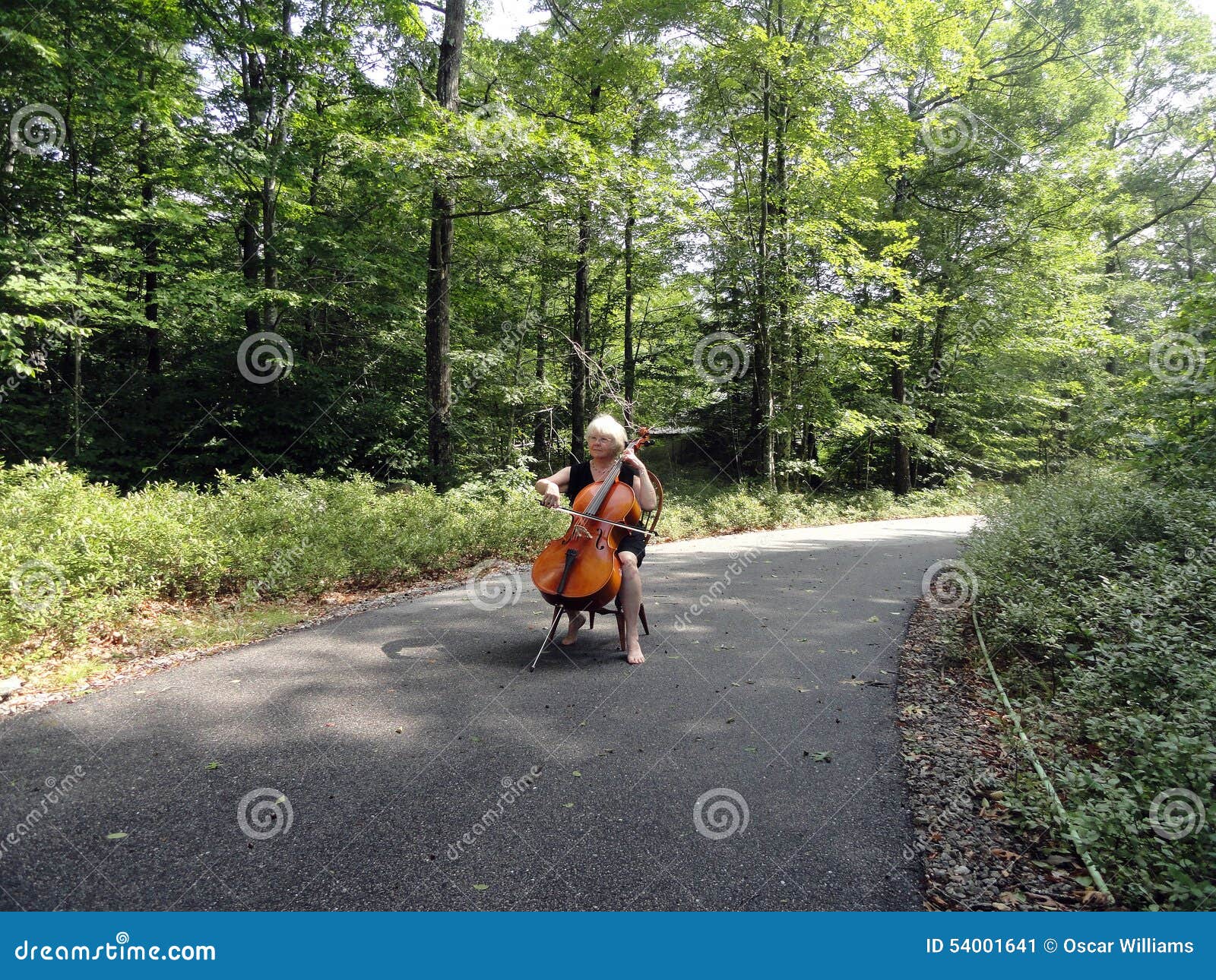 Female cellist. stock image. Image of leisure, classical - 54001641