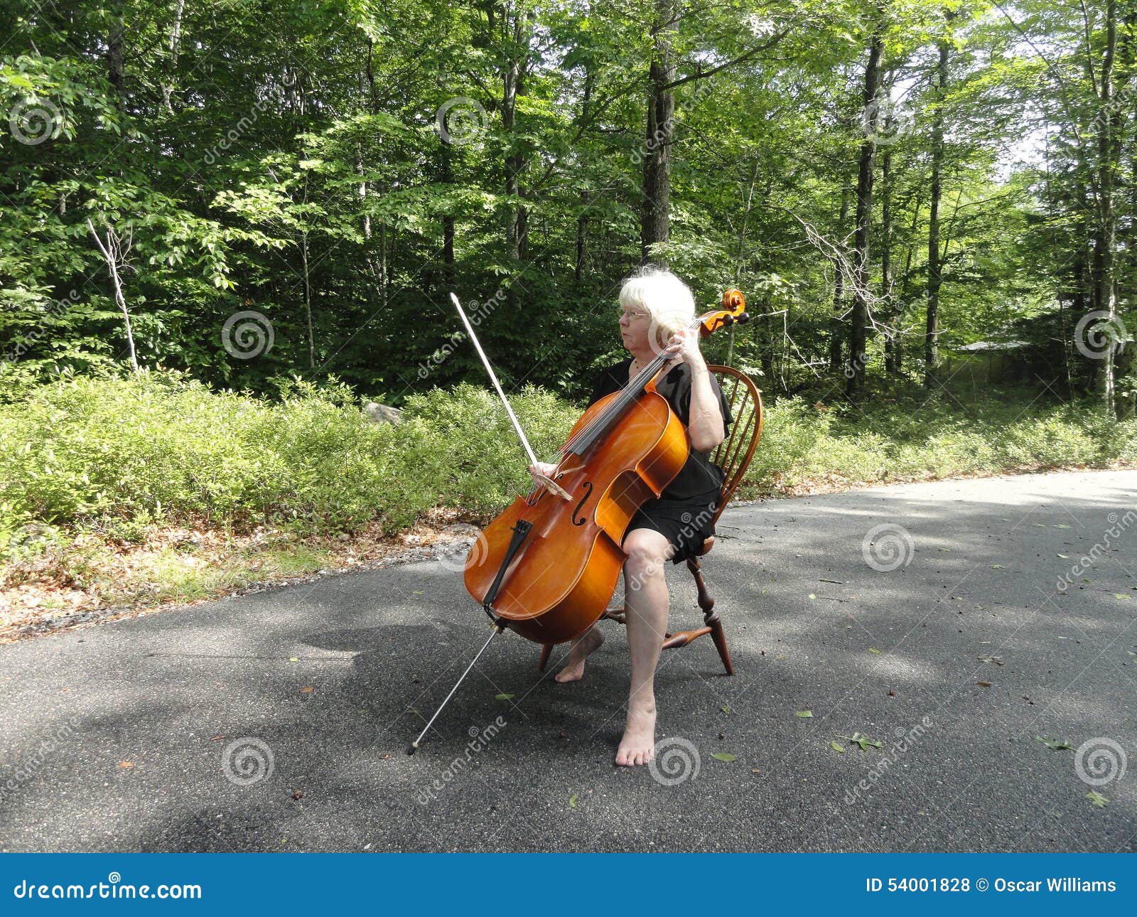 Female cellist. stock photo. Image of female, nature - 54001828
