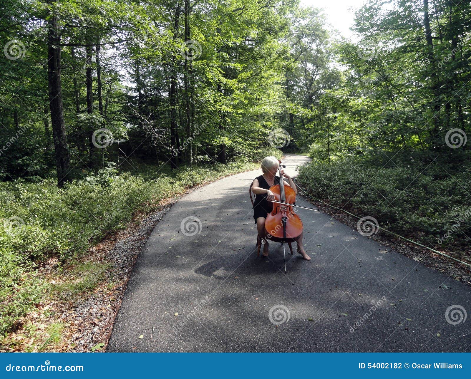 Female cellist. stock photo. Image of woman, adult, solo - 54002182