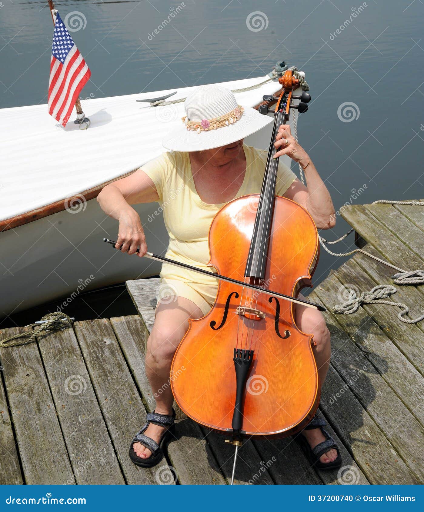 Female cellist. stock photo. Image of classical, lifestyle - 37200740